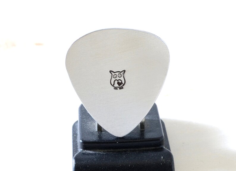 Owl Aluminum Guitar Pick for Bringing a Big Hoot to Your Music - GP324 ...