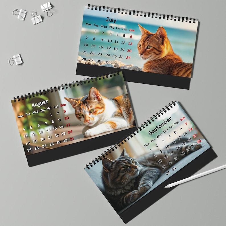Cats of 2025 Calendar - Seasonal Desk Calendar - Etsy