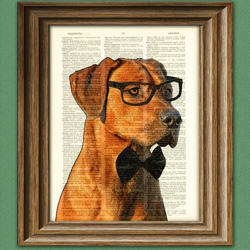 Rhodesian Ridgeback Dog Breed Lightweight Stretch Cotton Adult | Etsy