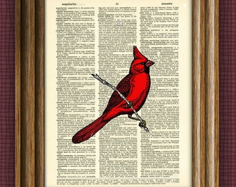 Bird Dictionary Art | Etsy