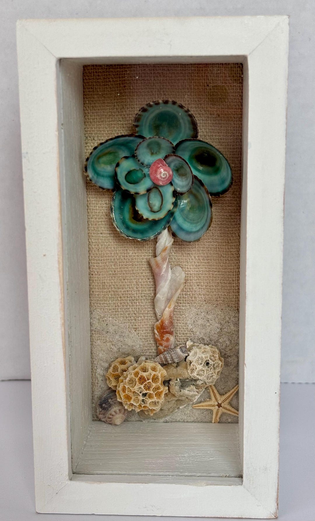 Seashell Flower, Shadowbox, Home Decor, Handmade Wall Art, Natural ...