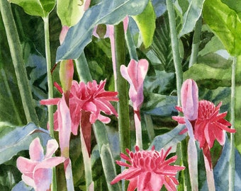 Torch Ginger Art | Etsy