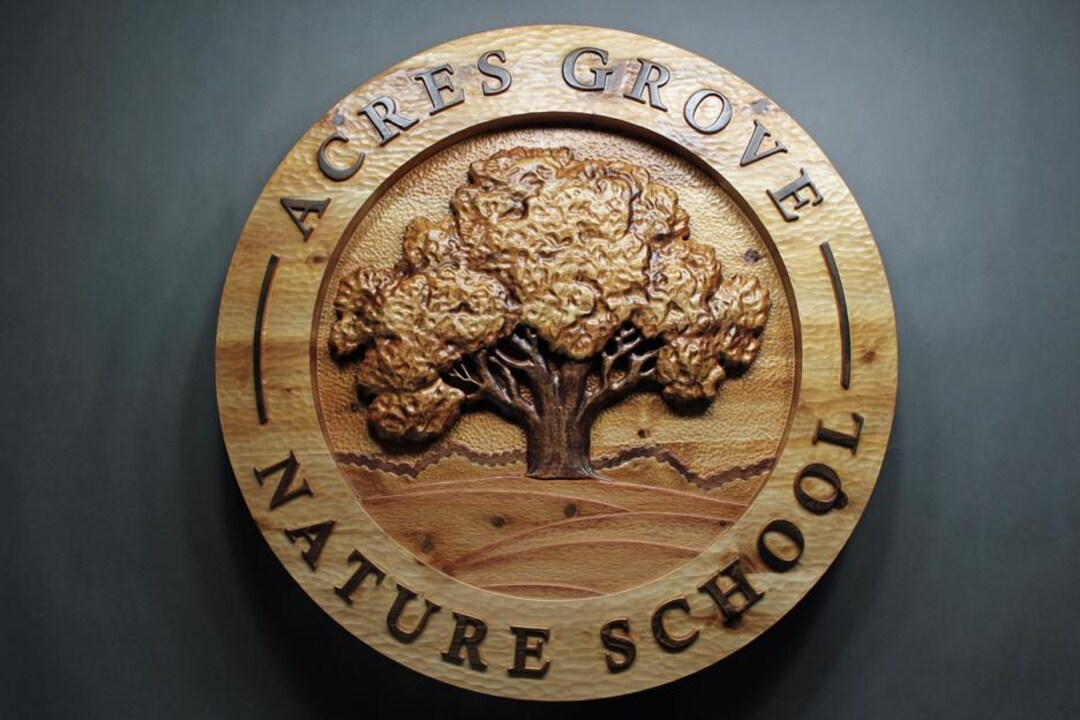 Custom Carved Wood Sign, Personalized Home, Cabin, and Business Decor ...