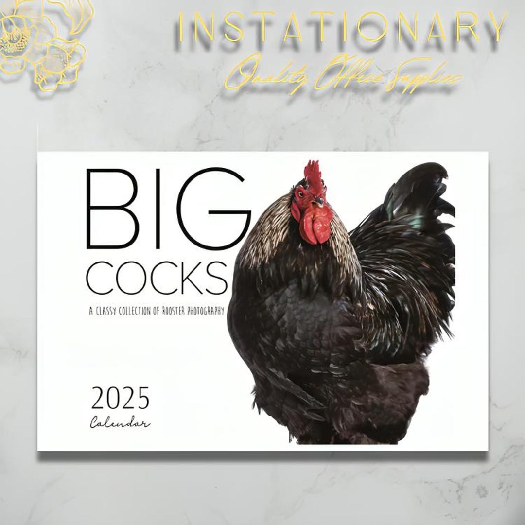 2025 Calendar Big Ccks, Humorous Funny Gift for Family or Co-workers ...