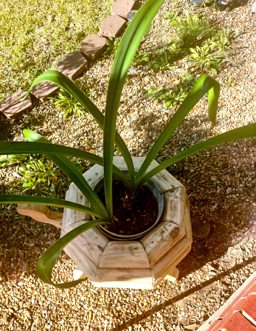 Garden Wooden Turtle Planter. Landscape Lumber - Etsy