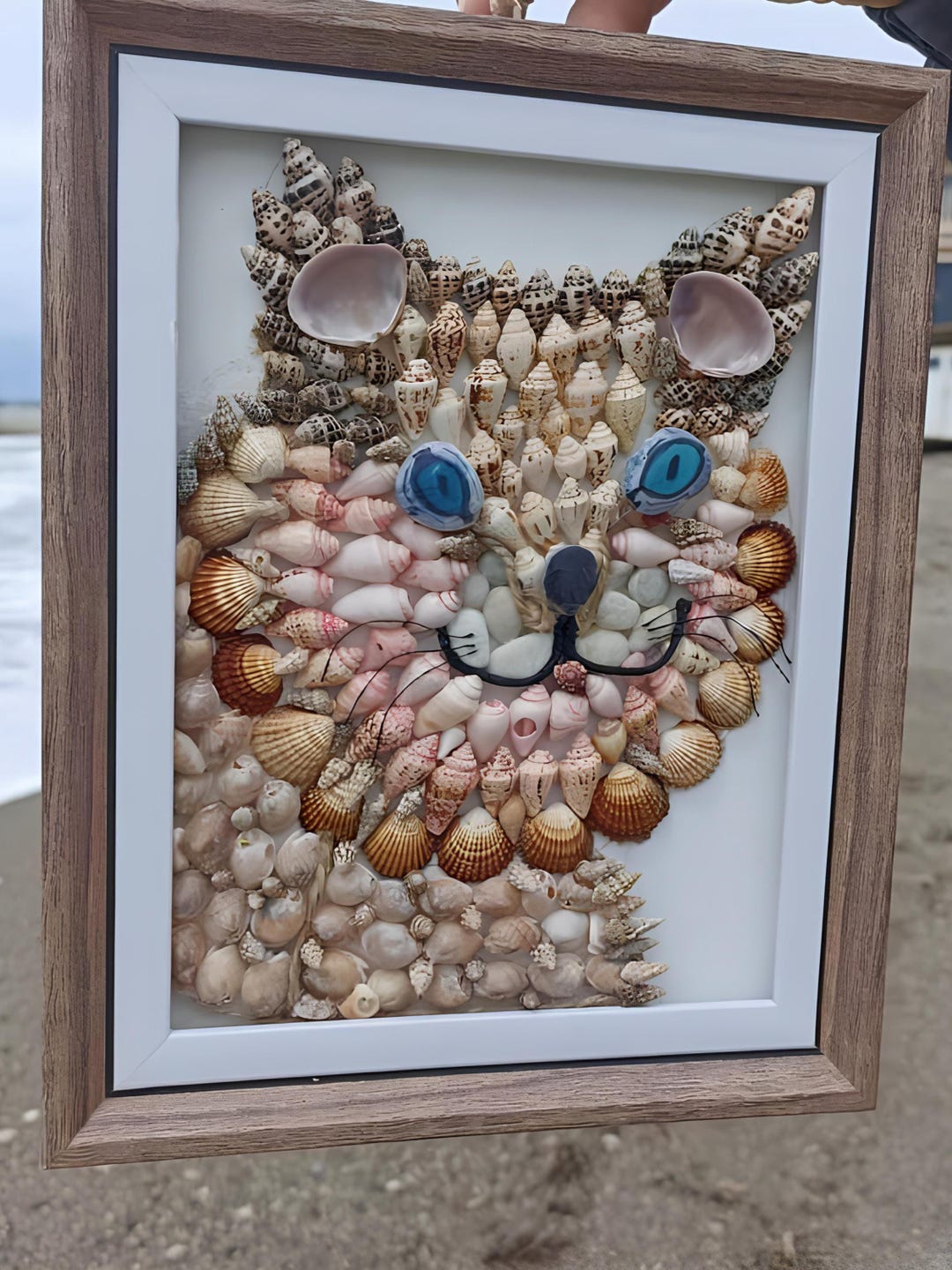 Sea Shell Art, Handmade Seashell Cat Figurine Natural, Seashell Frame ...