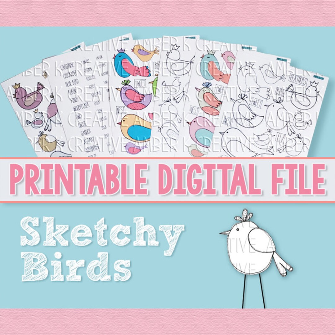 Sketchy Birds - Printable Digi Stamps Clip Art - Etsy