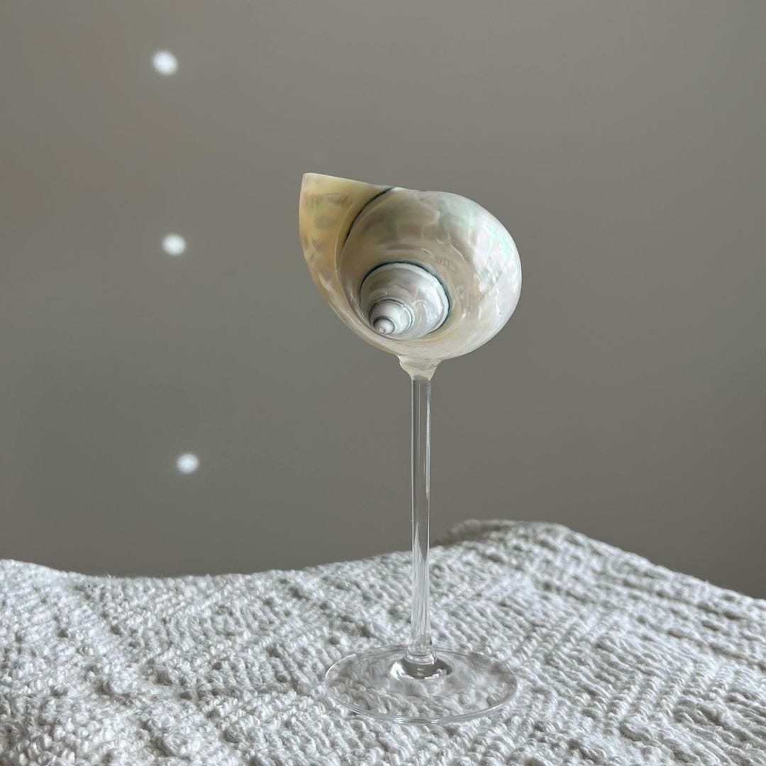 Handmade Sea Shell Wine Glasses for Beach Weddings・coastal Bridesmaid ...