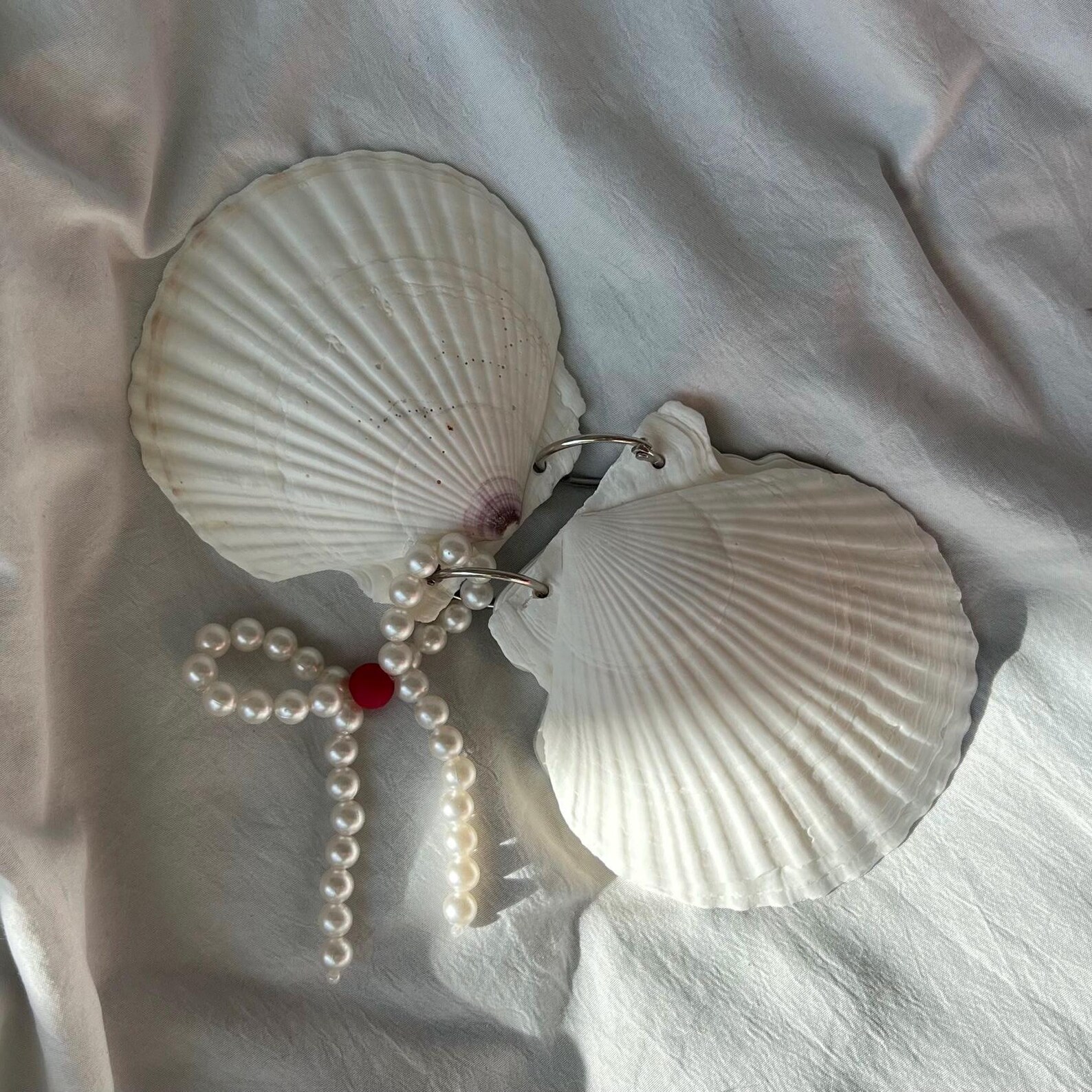 Scallop Sea Shell Notebook・small Coastal Sketchpad・small Cute Spiral ...