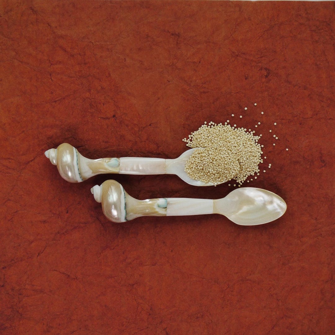 Natural Seashell Spoon: Coastal Table Decor, Caviar Salt Server - Etsy