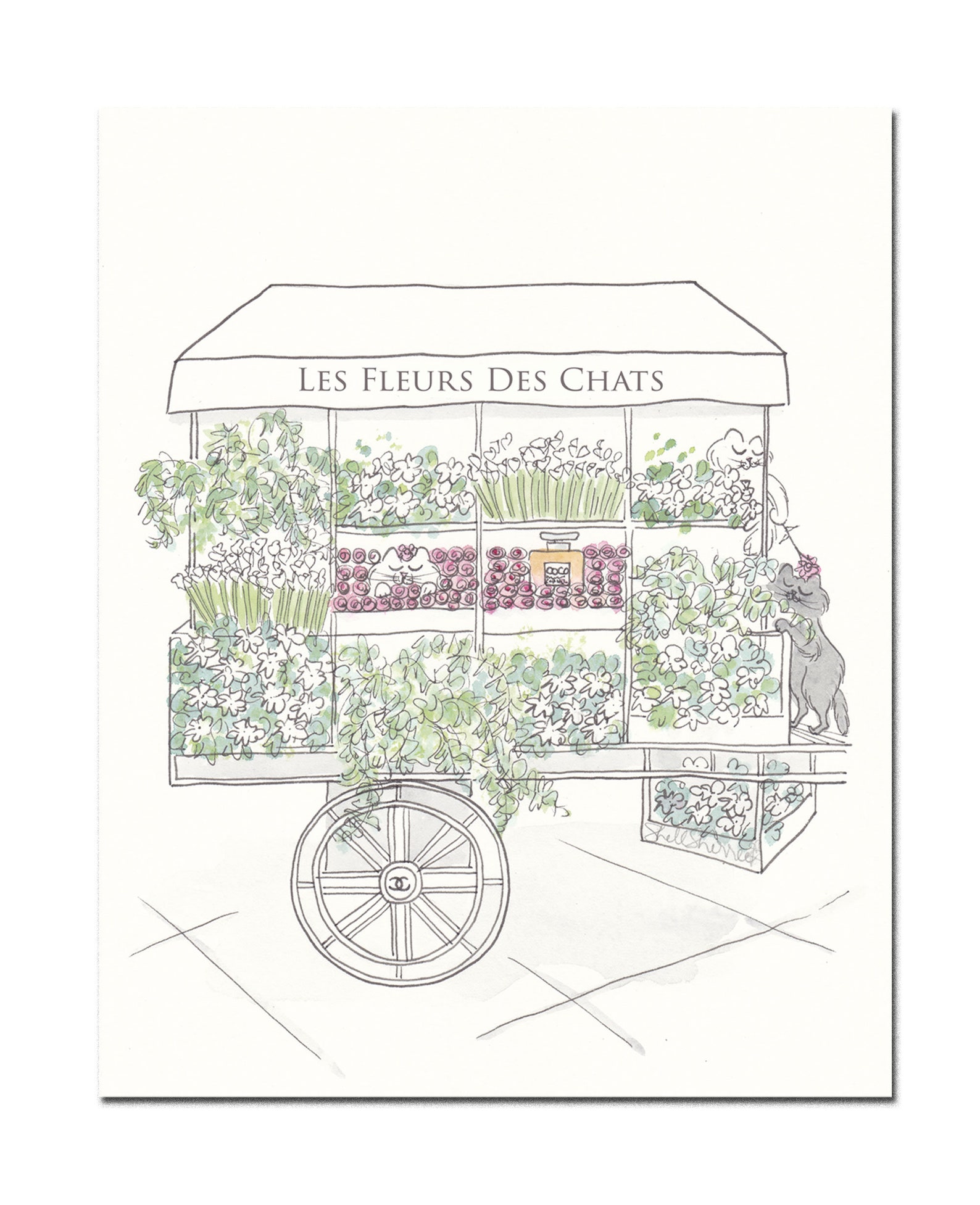 French Flower Cart Cat Print: Paris Giclee Art - Etsy