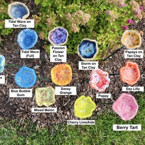 Handcrafted Ceramic Pollinator Watering Station: Bee & Butterfly Garden ...
