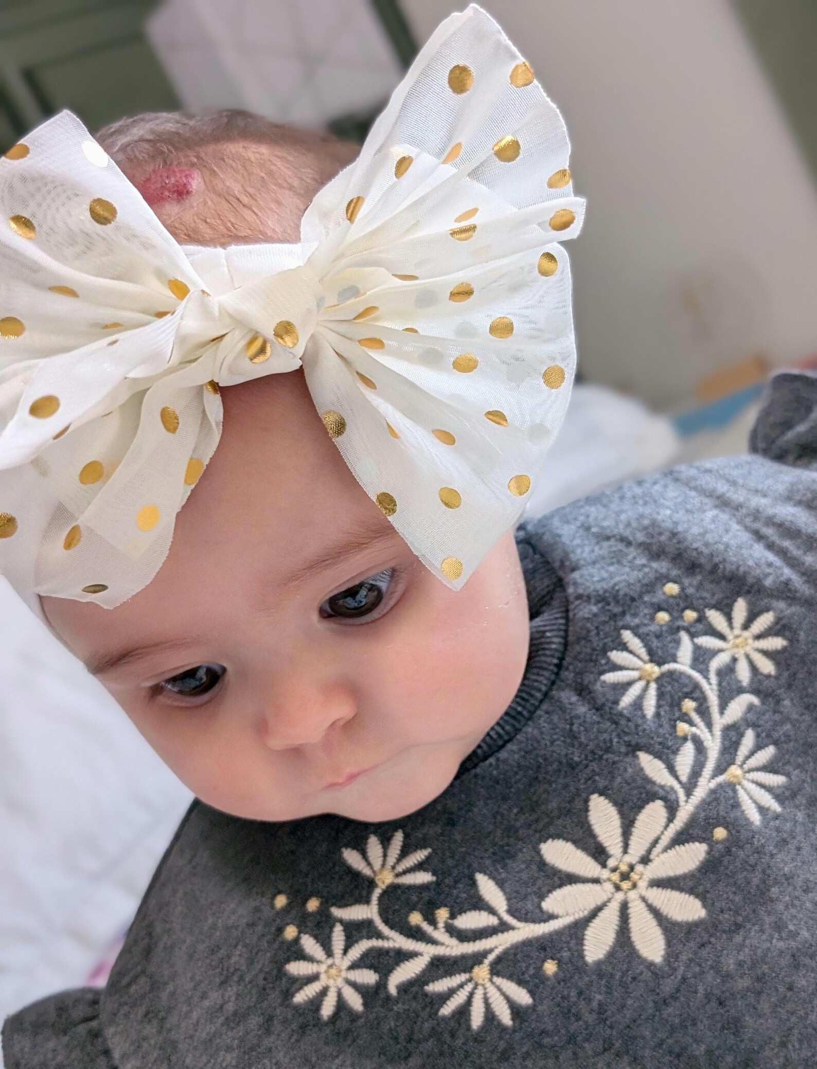 Baby Big Bow, Tulle Baby Girl, Hairbows, Baby Headband, Photography ...