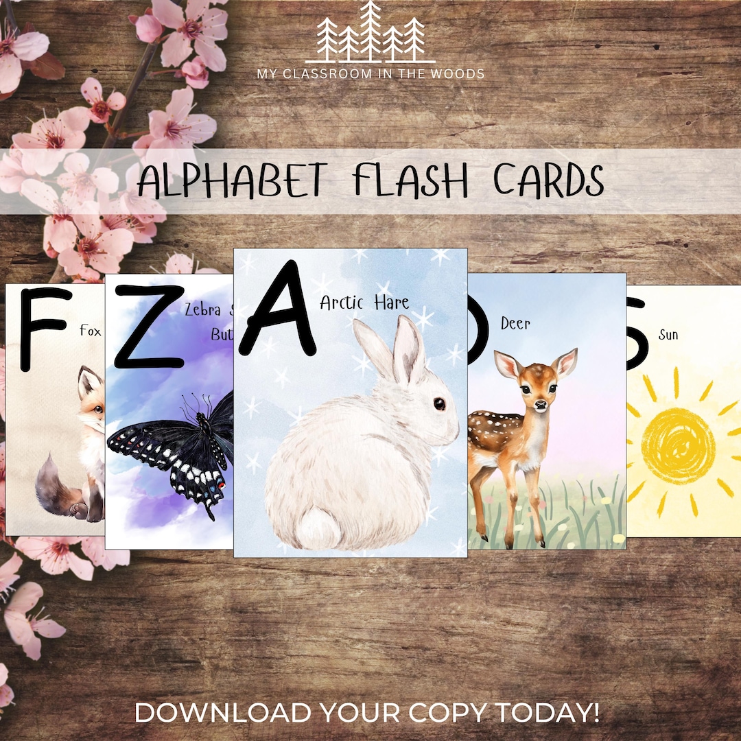 Alphabet Flash Cards - Etsy