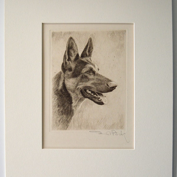 Dog Etching - Etsy