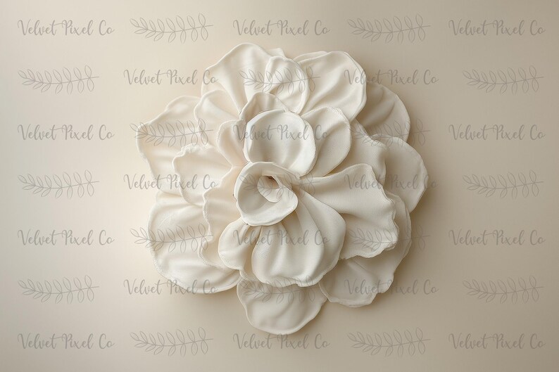 Newborn Digital Background, Baby Girl Flower Backdrop, Floral Newborn ...