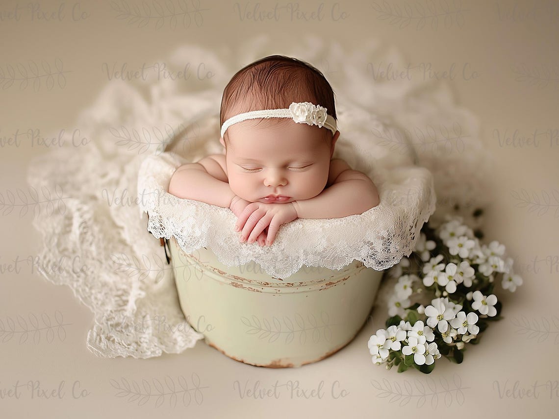 Digital Newborn Backdrop, Digital Backgrounds, Cream Vintage Bucket ...