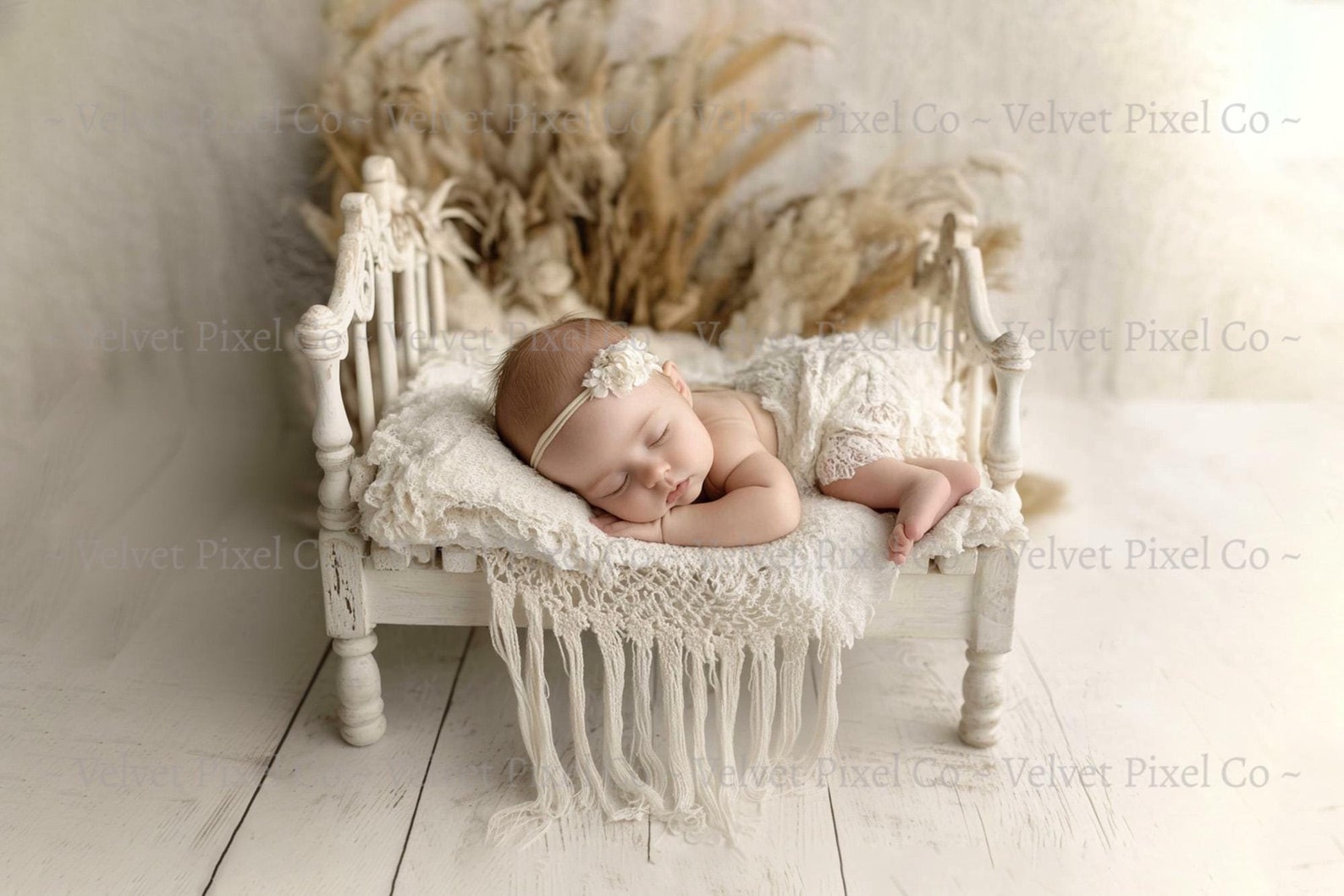 Digital Newborn Backdrop, Digital Backgrounds, Newborn Photography ...