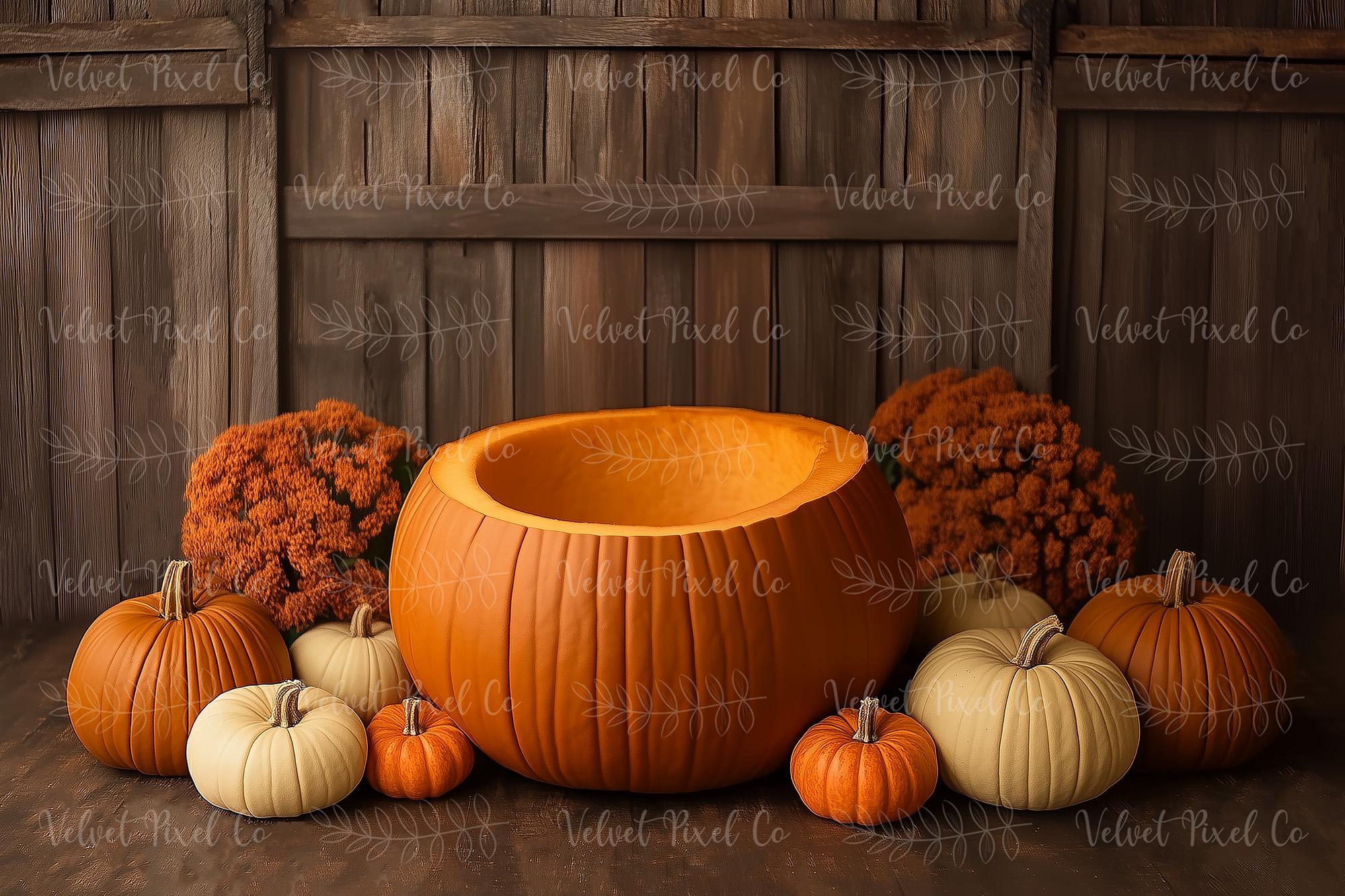 Newborn Digital Backdrop, Pumpkin Autumn Fall Halloween Newborn ...