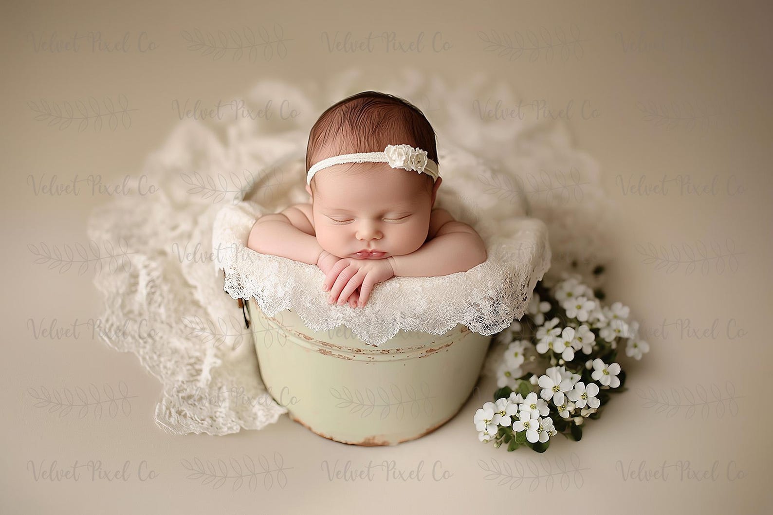 Digital Newborn Backdrop, Digital Backgrounds, Cream Vintage Bucket ...