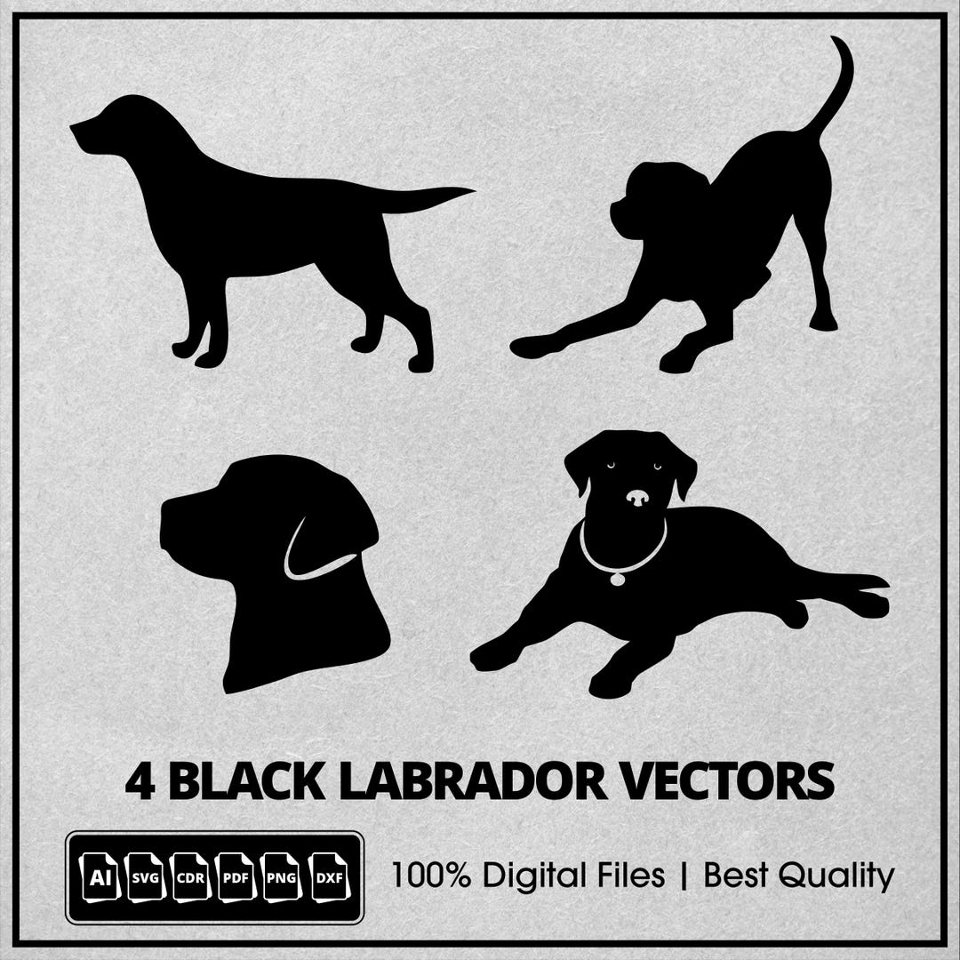 Black Labrador SVG, Labrador Bundle SVG, Pet Dog Cut Vector Svg Png ...