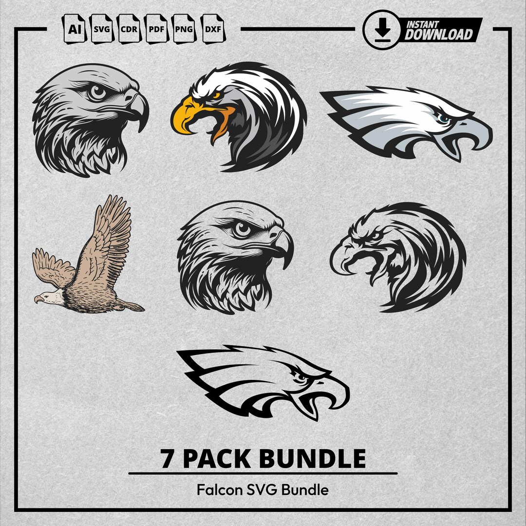 Falcon SVG Bundle, PNG, Falcon Clipart, Hand Drawn Falcons Vector ...