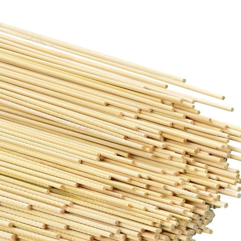 100PCS Bamboo Sticks 10cm X 3mm – Thin Wooden Dowels for DIY Crafts ...