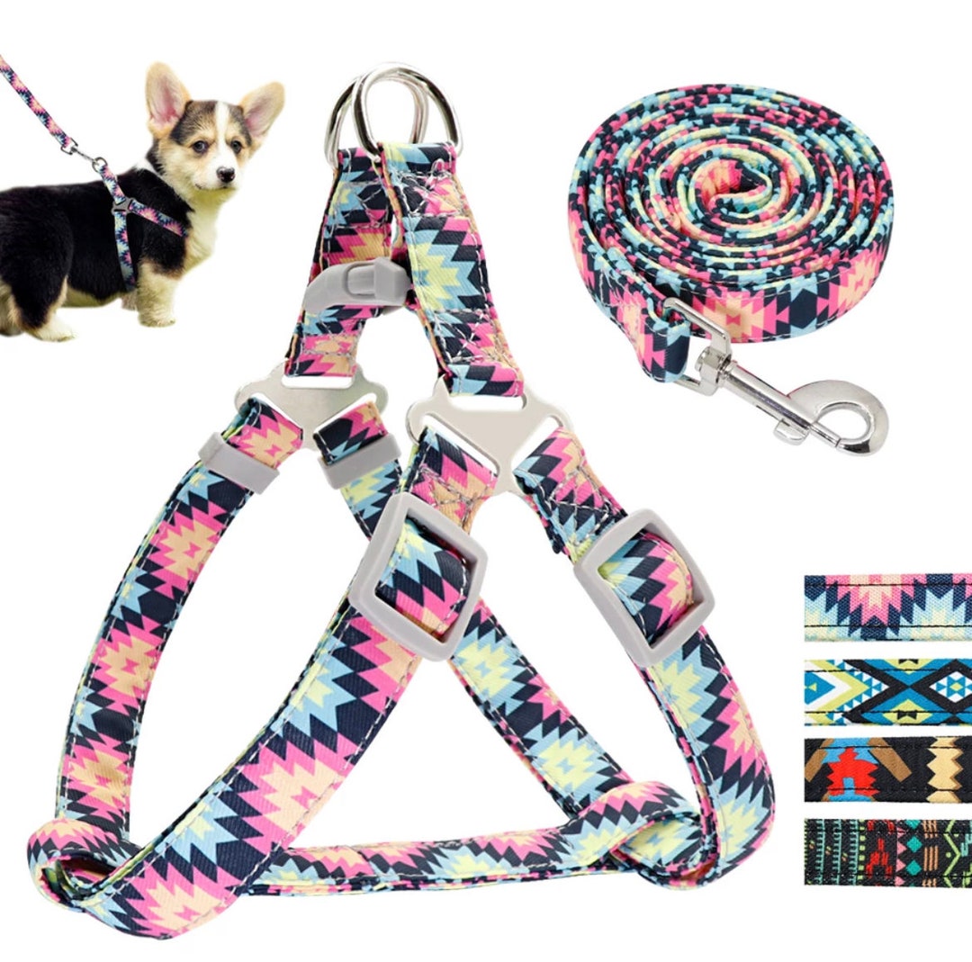 Dog Harness & Lead, Aztec Dog Harness Leash, Boho Dog Harness, Bohemian Dog Harness, Southwest ...