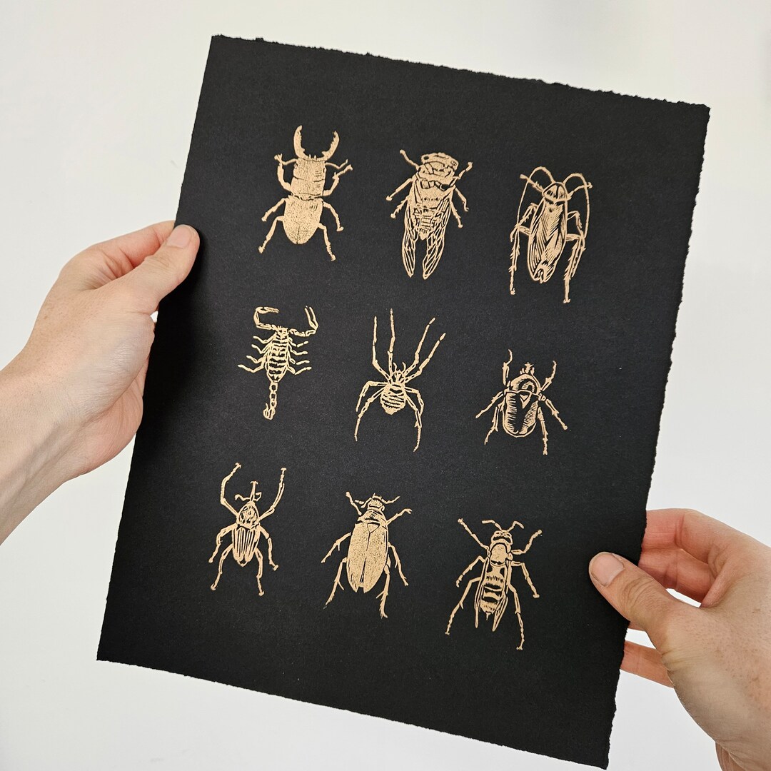 Insects Linocut, Original Handmade Print, Bugs, Spider, Scorpion, Wasp ...