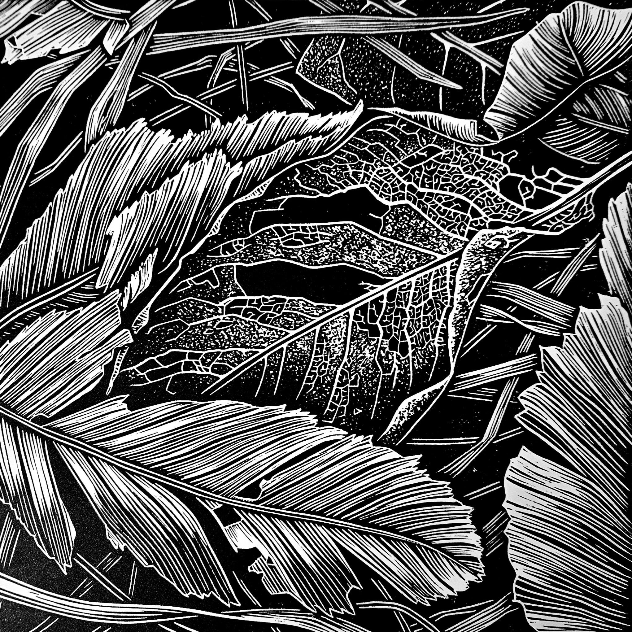 Leaf Skeleton Linocut, Original Handmade Print, Delicate Botanical Art ...