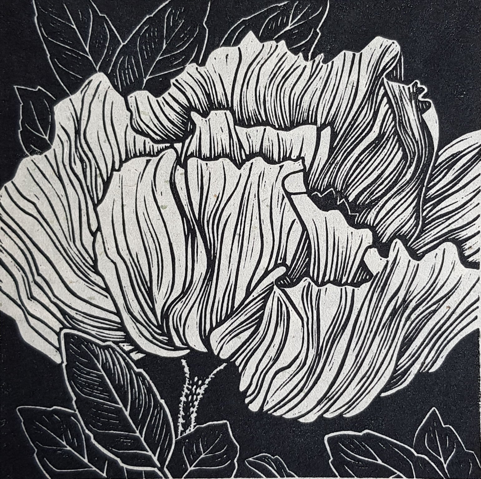 Colibri Poppy Linocut Original Handmade Print - Etsy