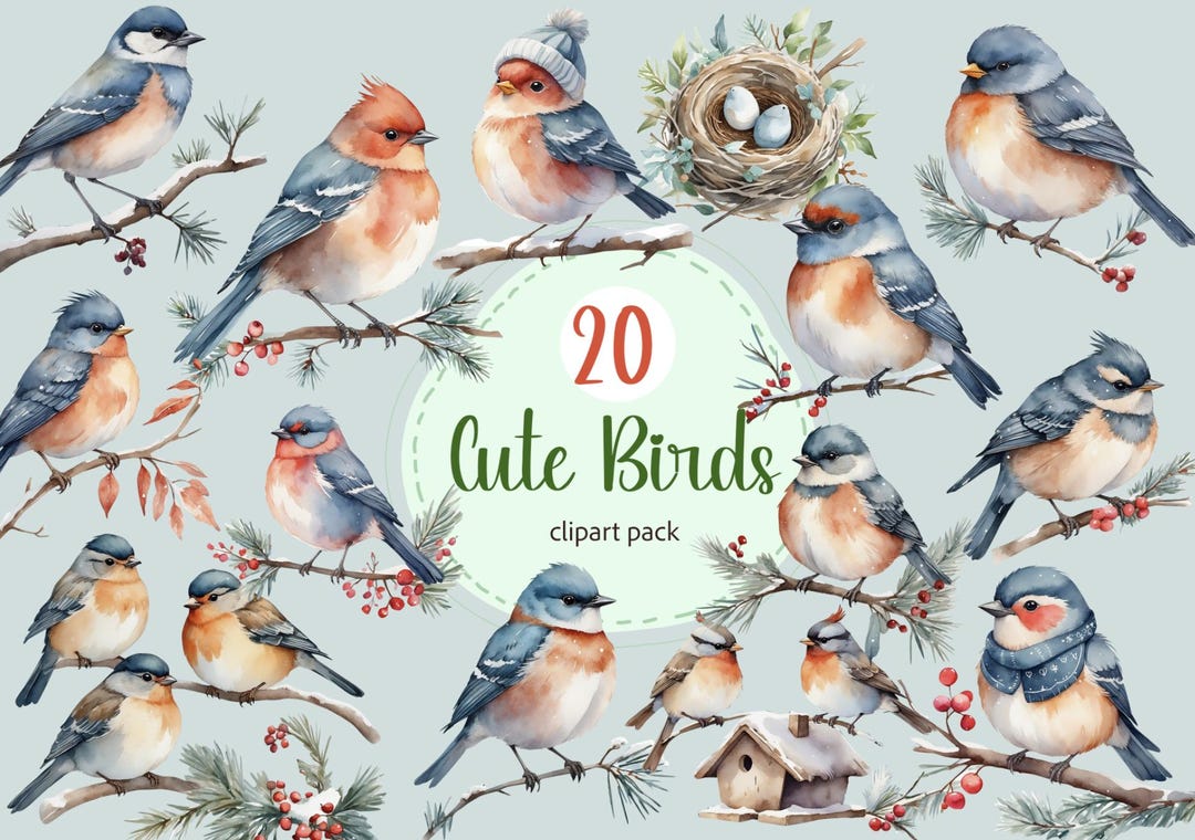Watercolor Cute Birds Clipart - Birds Cliparts Bundle, Pine Birds ...