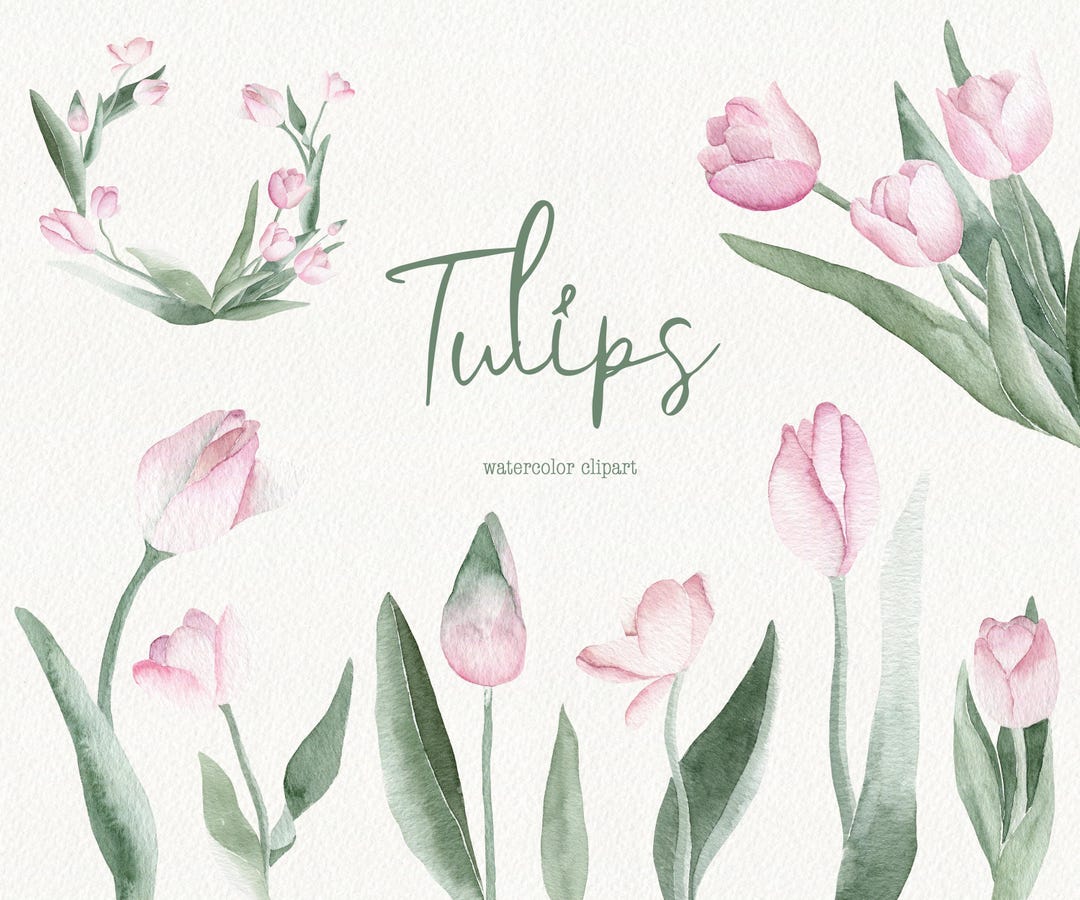 Watercolor Tulip Clipart Set – 30 Hand-painted PNG Illustrations ...