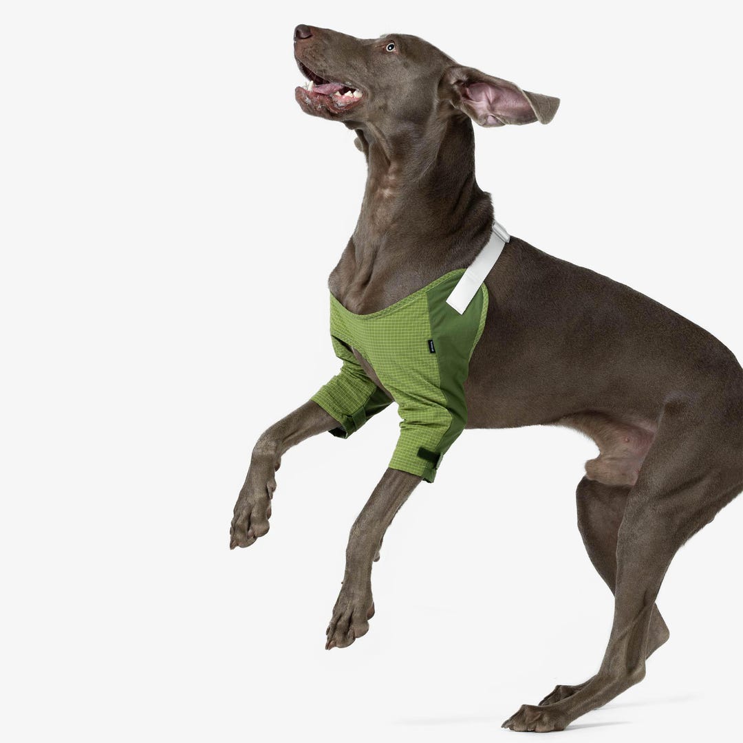 Elbow Pad - Anti-friction Dog Protector Sleeve for Medium Large Dogs ...