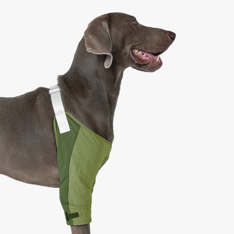 Elbow Pad - Anti-friction Dog Protector Sleeve for Medium Large Dogs ...