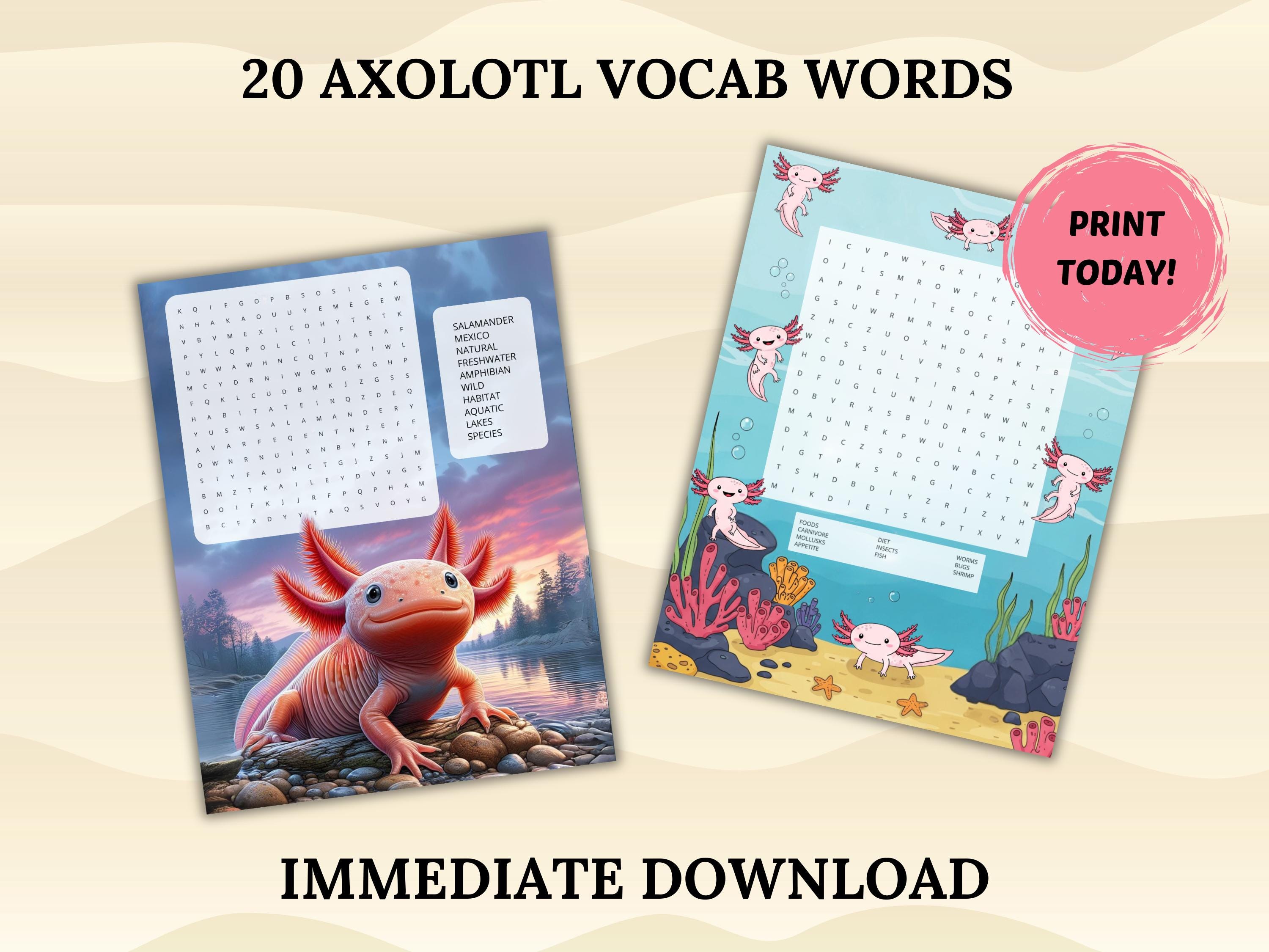 Axolotl Word Search: Printable Birthday Party Games (digital Download ...