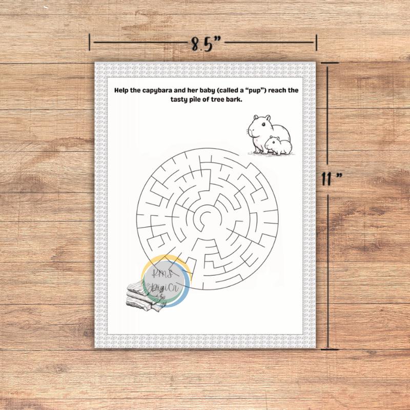 Capybara Maze Puzzle Sheets: Set of 5 (digital Download), Capybaras ...