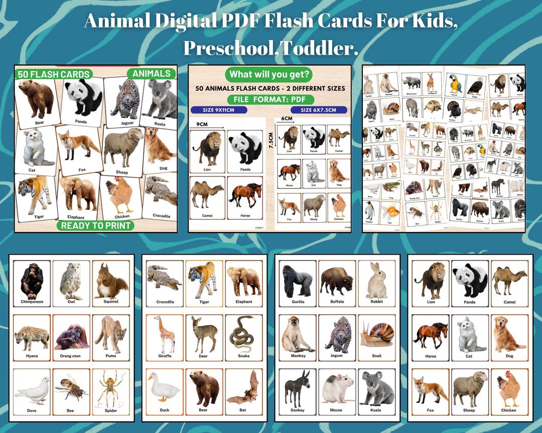 Animal Digital Flash Cards Kids, Preschool, Toddler, Zoo Animal Flash ...