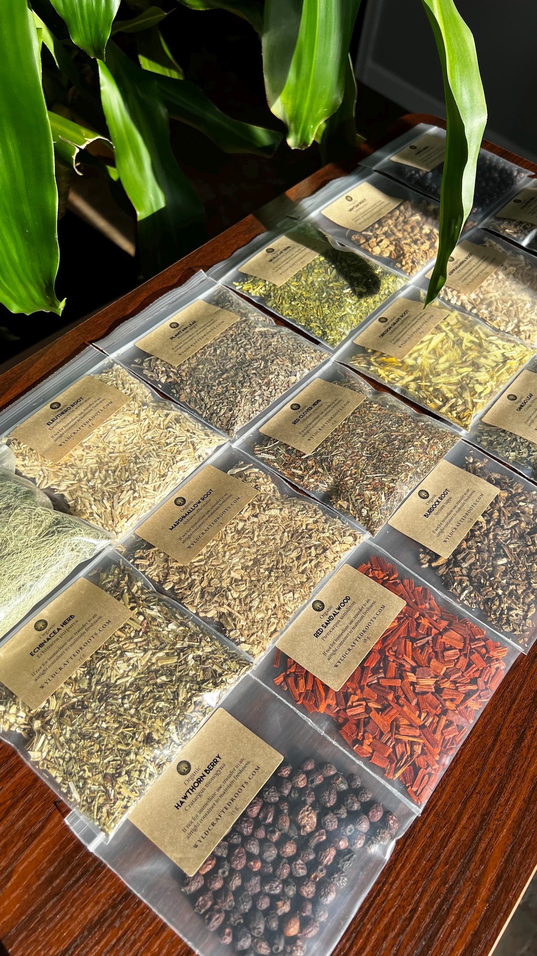 1 of Everything | Organic, Wildcrafted, Loose Teas, Herbal Teas - Etsy