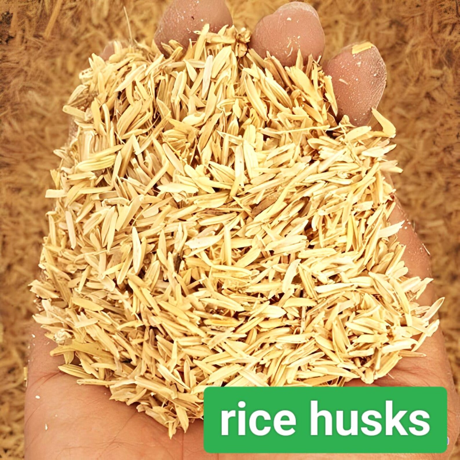 Hydroponic Growing Media Rice Hulls Rice Husks - Etsy