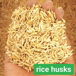 Hydroponic Growing Media Rice Hulls Rice Husks - Etsy