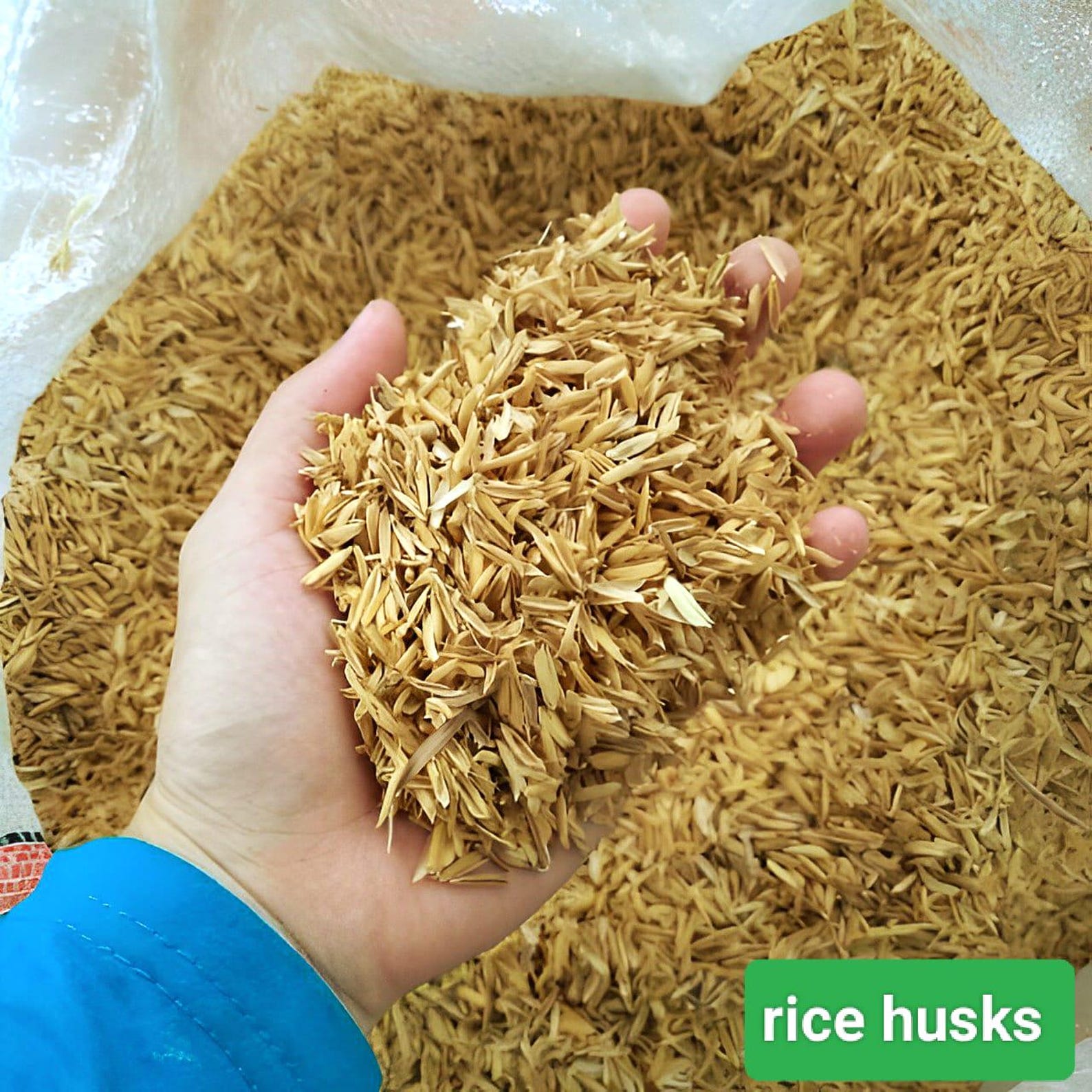 Hydroponic Growing Media Rice Hulls Rice Husks - Etsy