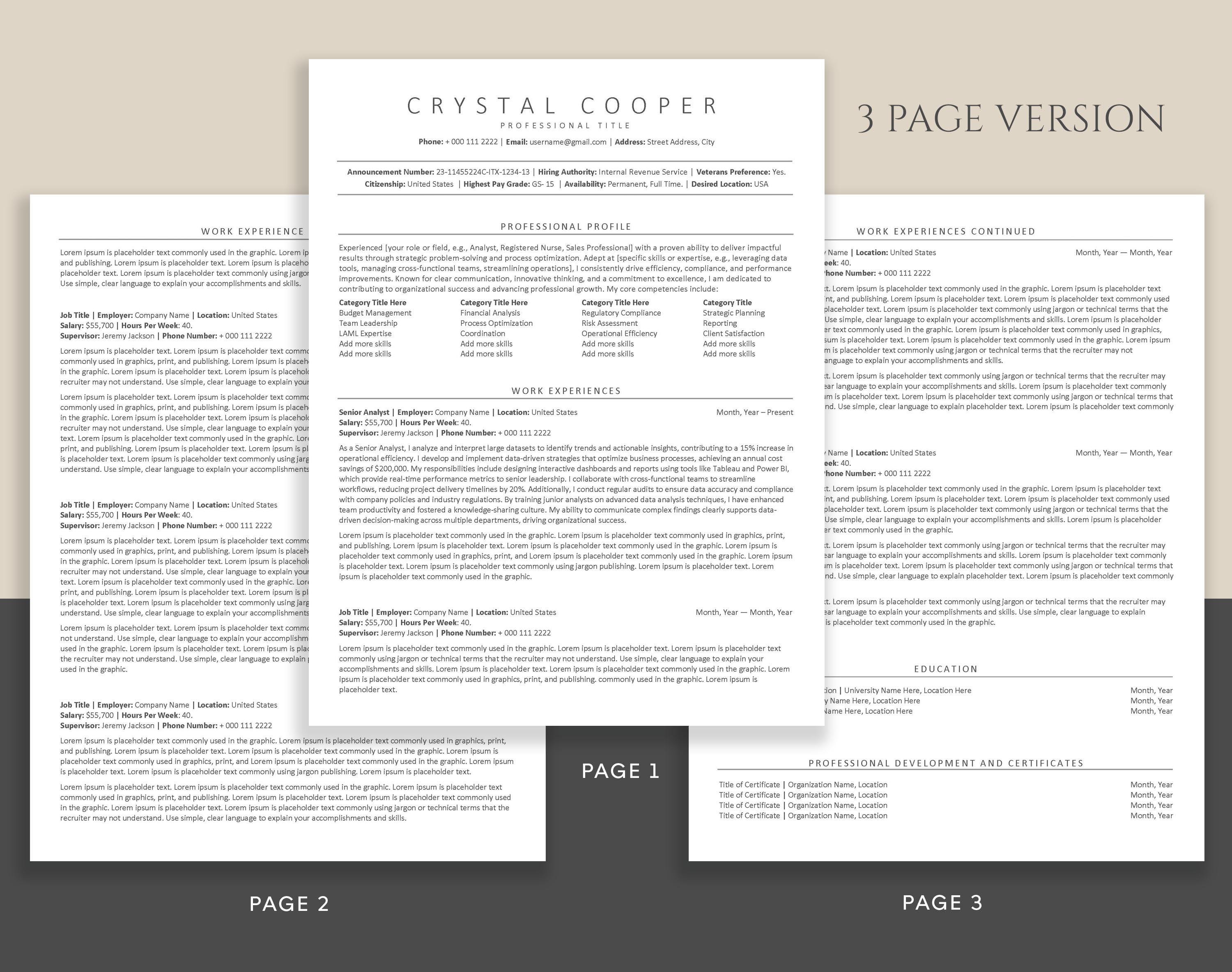 US Government Federal Jobs Resume Template, Google Docs Resume Template ...
