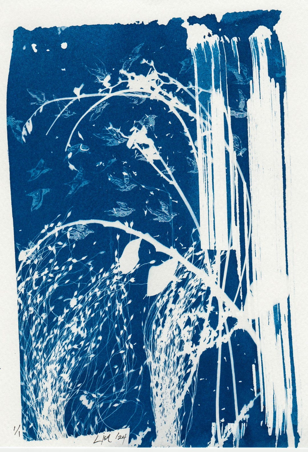 Original Birds in Flight Cyanotype Digital Download | Handcrafted Avian ...