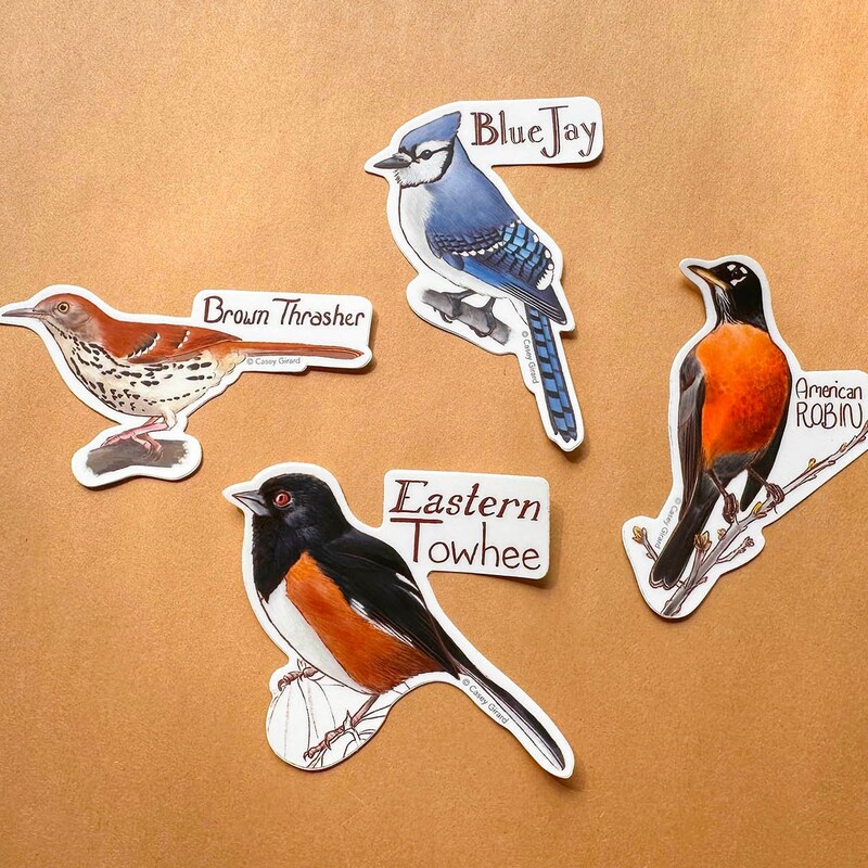 Towhee - Etsy