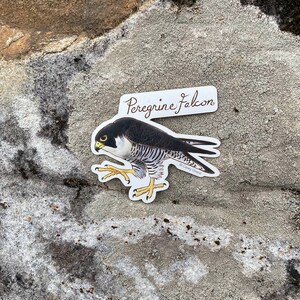 Individual Sticker - Falcons - Etsy