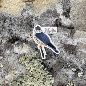Individual Sticker Falcons - Etsy