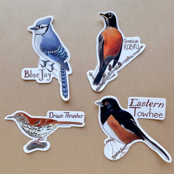Towhee - Etsy