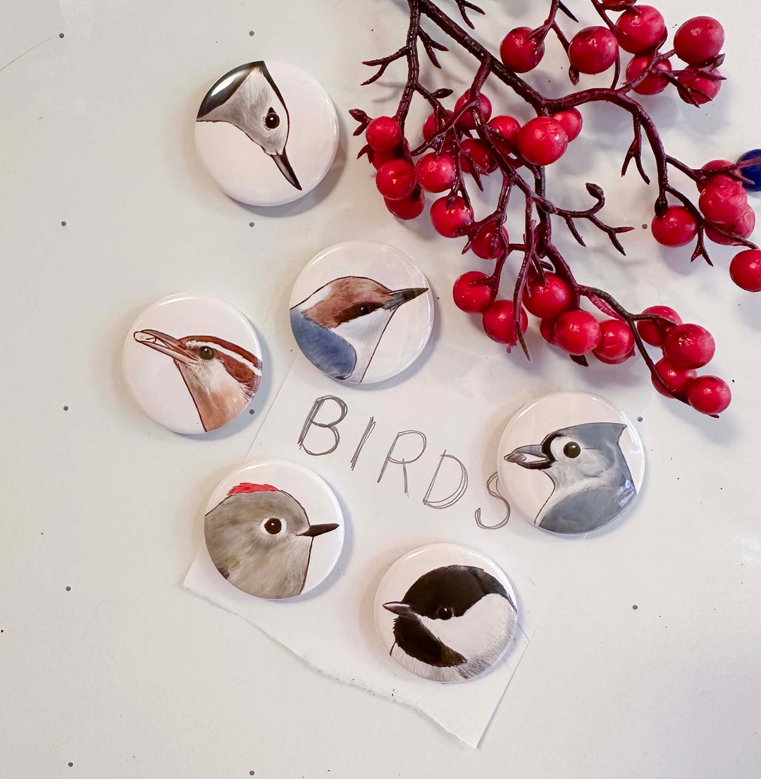 Small Eastern Backyard Bird Magnet Sets of 6 - Etsy