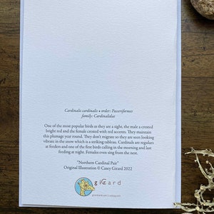 Cardinal Pair Love 5x7 Fine Art Card - Etsy